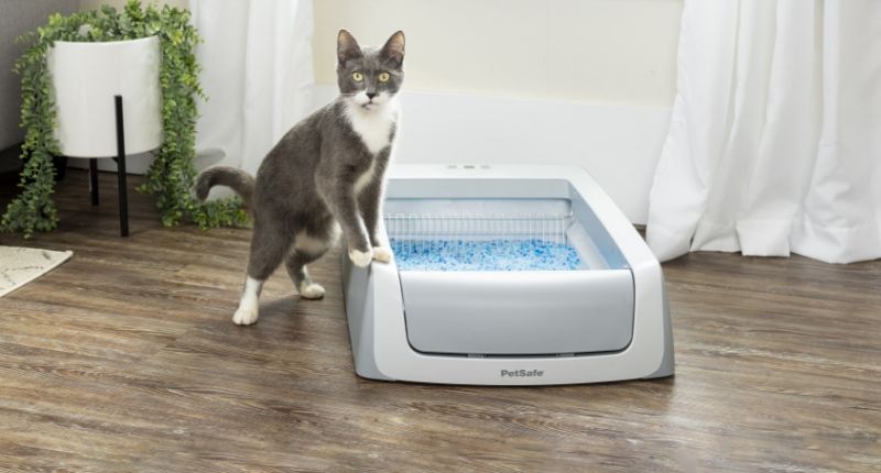 About Us | PetSafe® | Safe Pets, Happy Owners - Since 1991