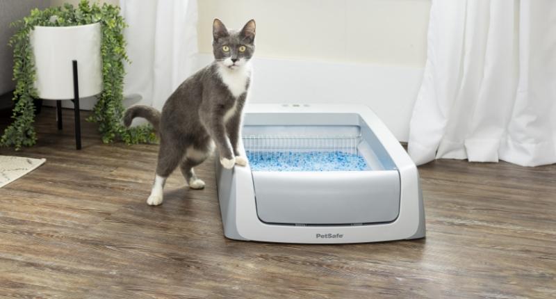 About Us | PetSafe® | Safe Pets, Happy Owners - Since 1991