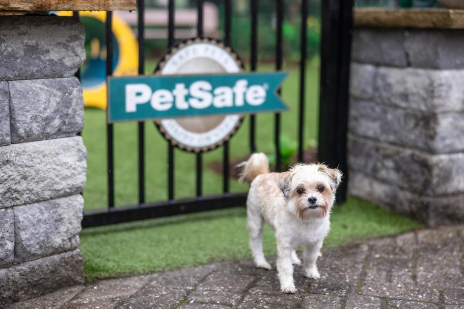 30 Communities Selected For a Chance to Win a 2022 PetSafe® Bark for ...