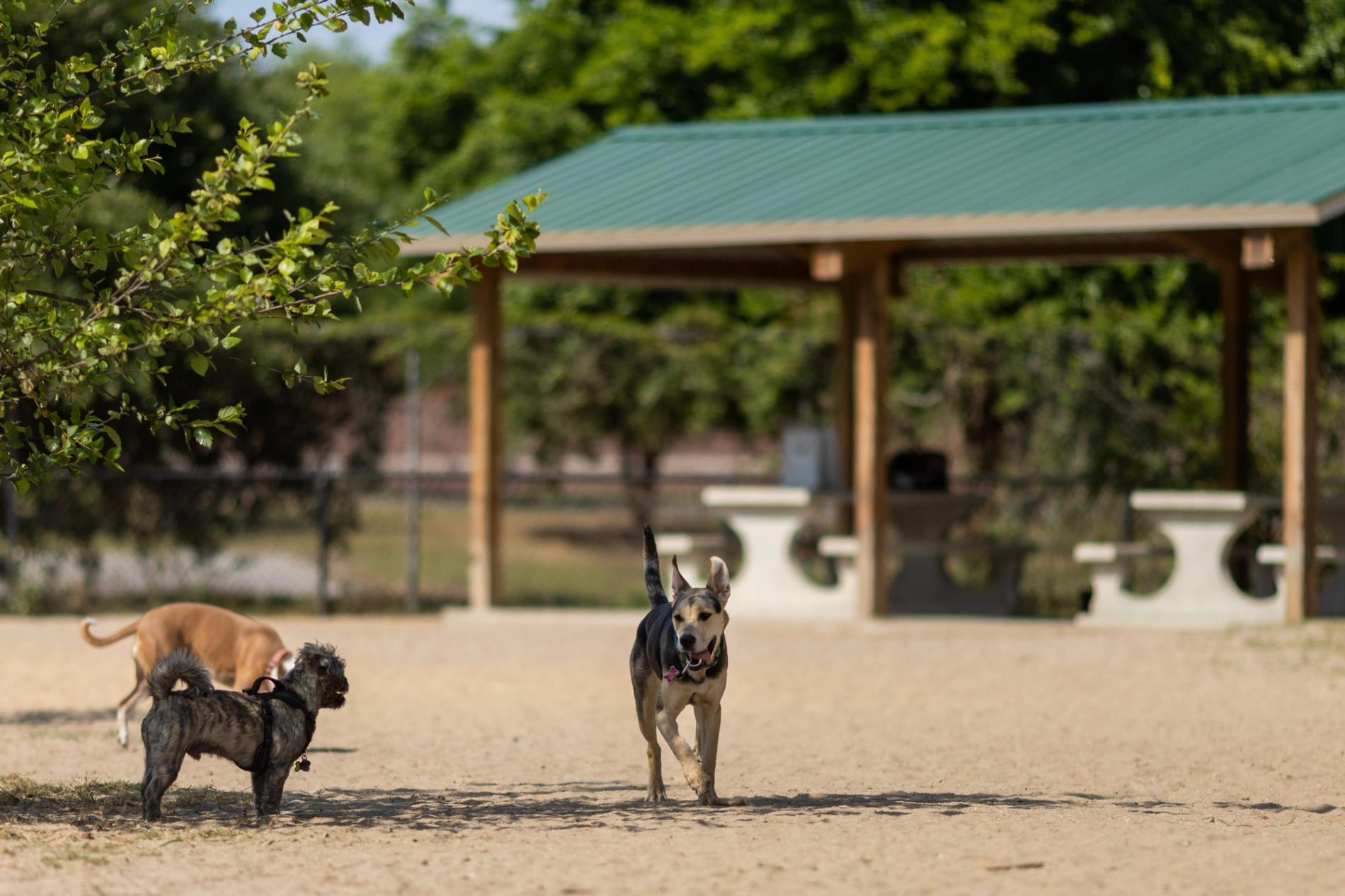 PetSafe® Prepares for the Launch of its 2018 Bark for Your Park™ Grant ...