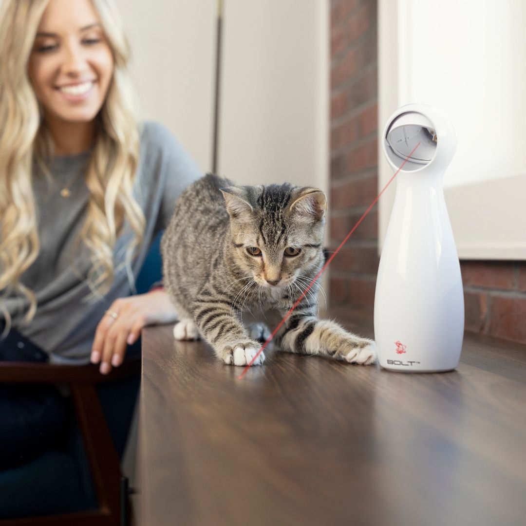 About Us | PetSafe® | Safe Pets, Happy Owners - Since 1991