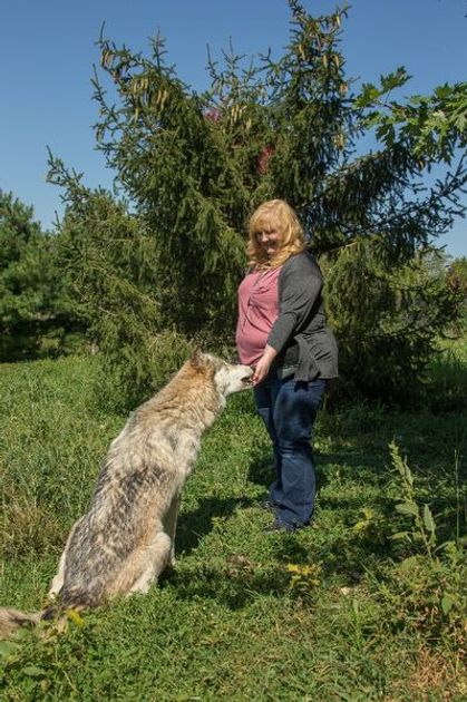 Training: What can we learn from wolves? | PetSafe®
