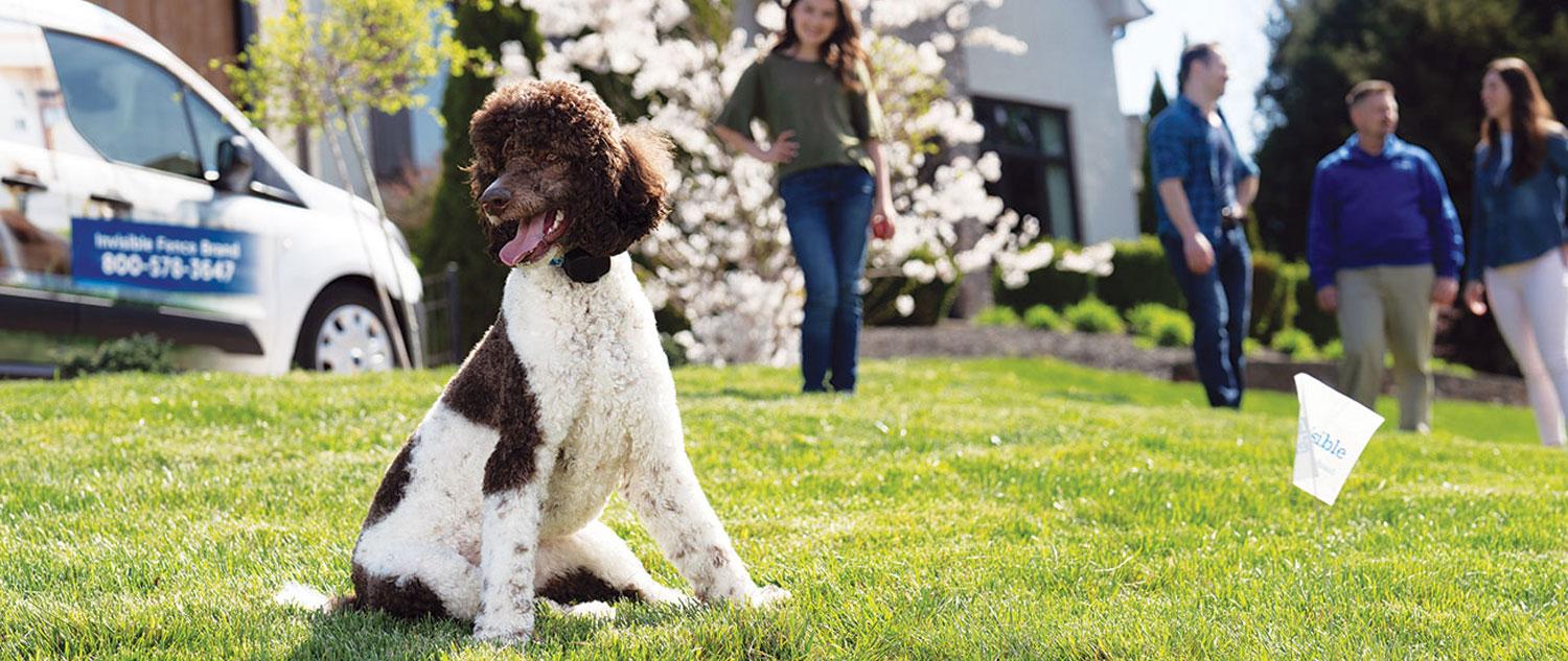 Boundary Plus Smart Fence