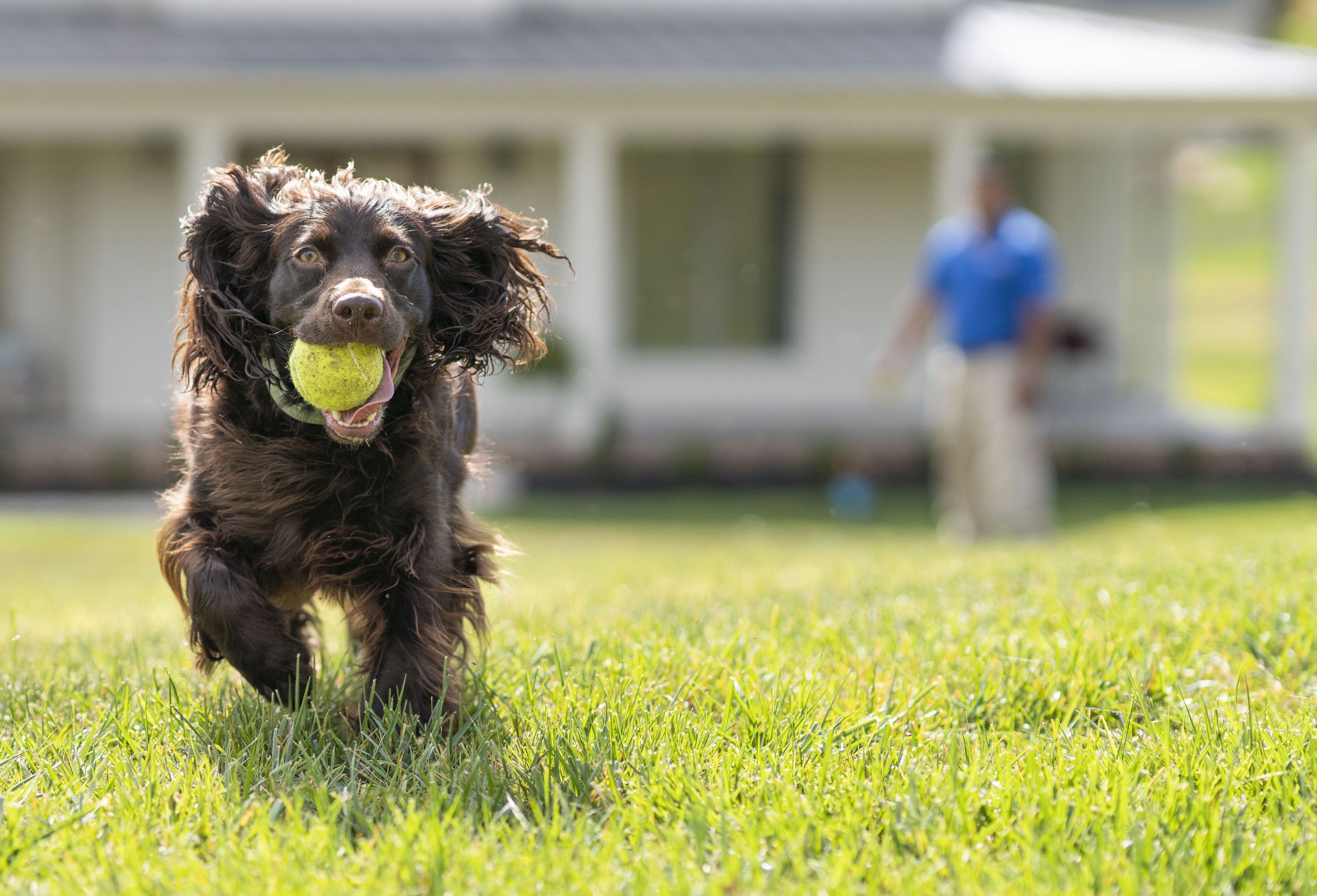 Schedule Your Free Invisible Fence® Consultation