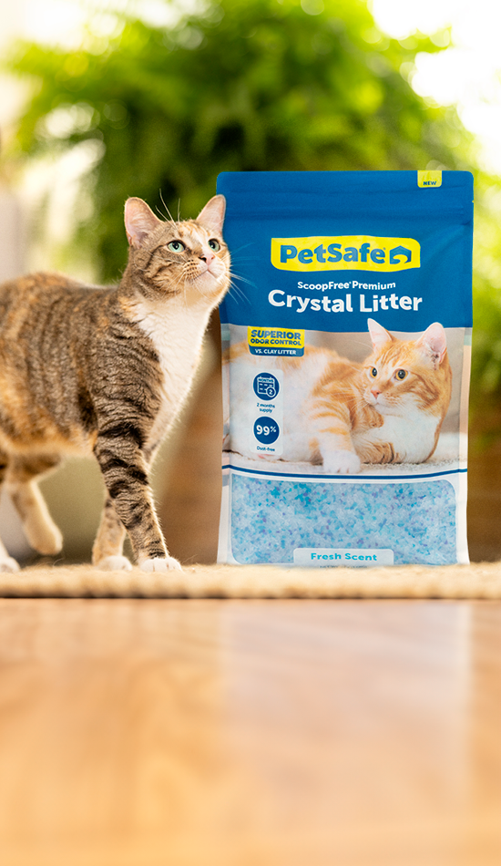 Automatic Self-Cleaning Pet Litter Boxes | PetSafe®