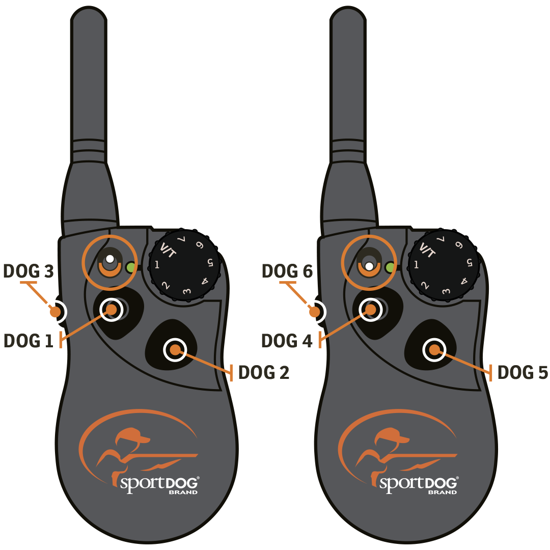 HOW TO ADD ANOTHER COLLAR RECEIVER TO MY SPORTDOG® SPORTHUNTER® 1825X ...