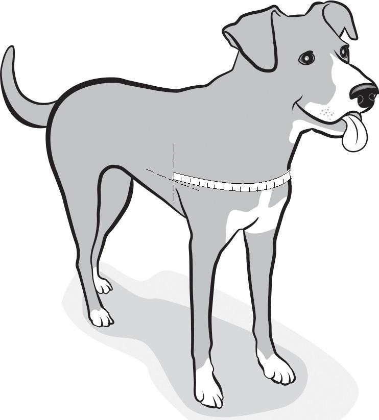 How to Measure Your Dog to Determine Which Size Easy Walk® Harness is ...