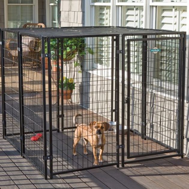 Find the Perfect Dog House | PetSafe®