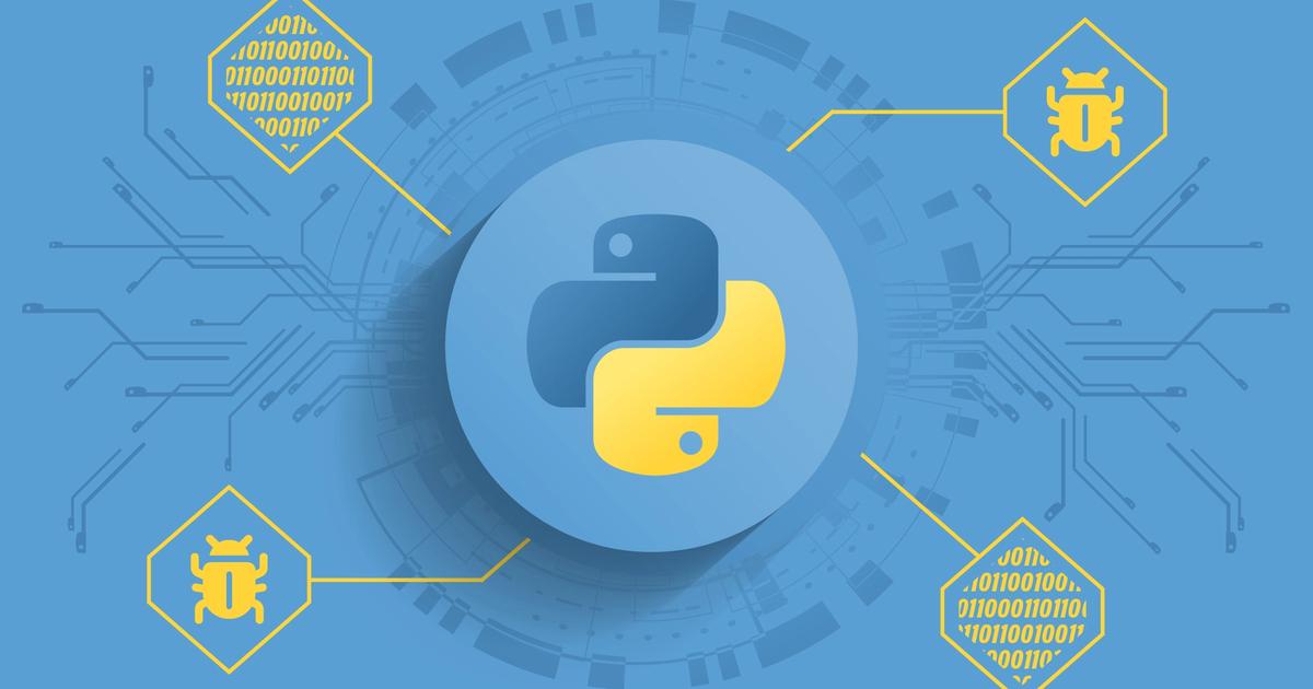 White-box penetration testing: Debugging for Python vulnerabilities
