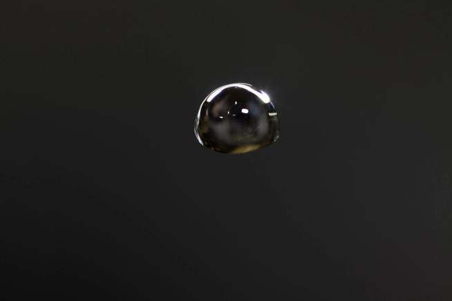 A raindrop | Alistair McClymont