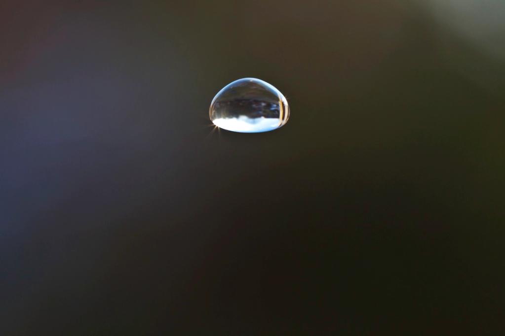 Raindrop | Alistair McClymont