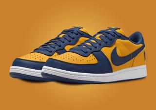 The Nike Terminator Low OG Michigan Drops June 13