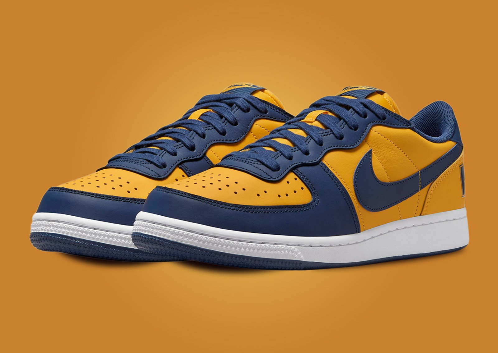 The Nike Terminator Low OG Michigan Drops June 13