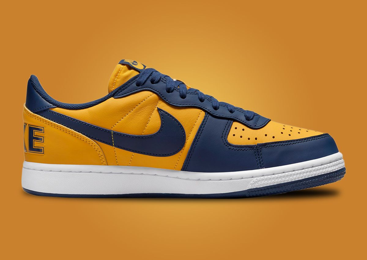 The Nike Terminator Low OG Michigan Drops June 13