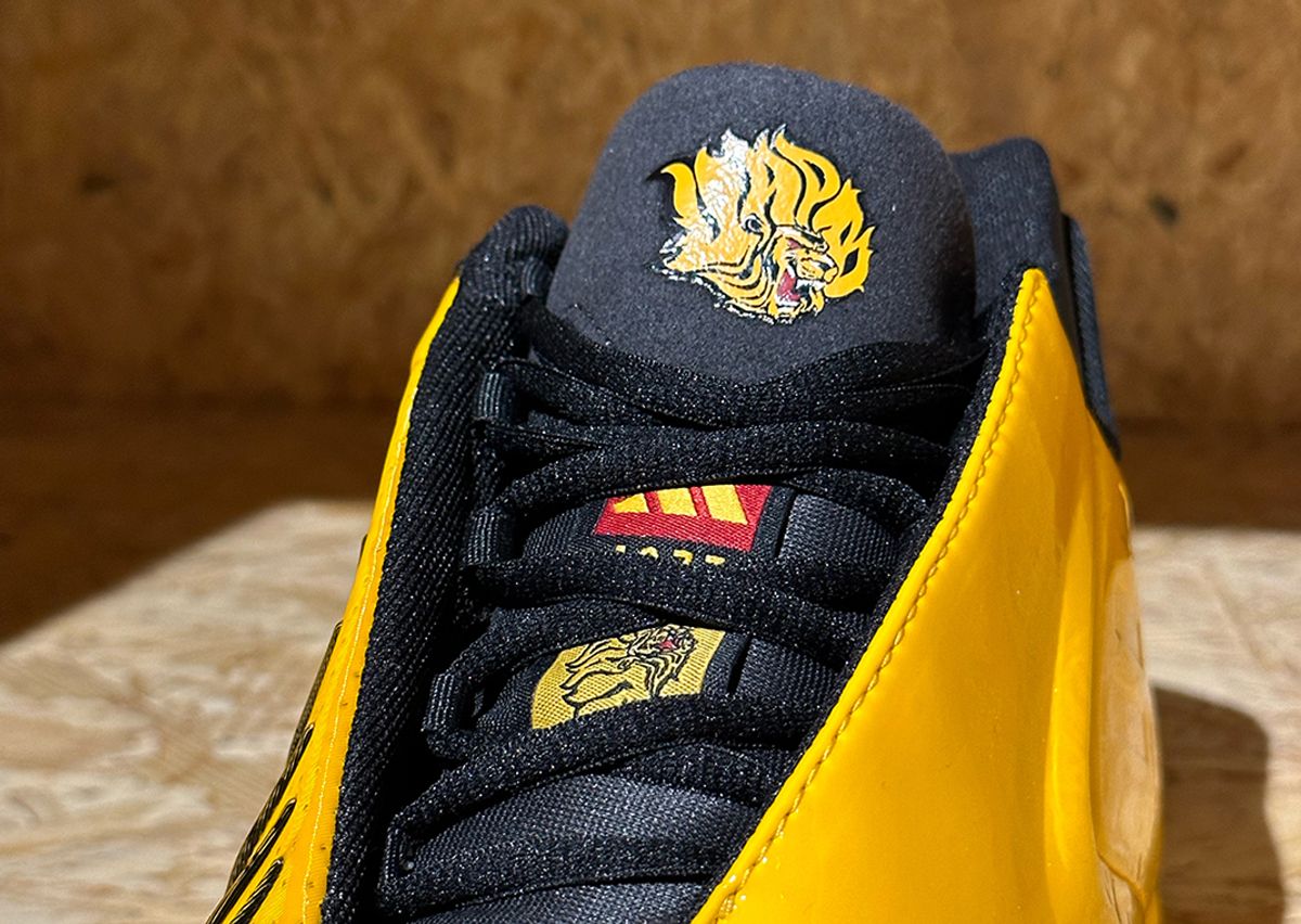 UAPB's Golden Lions Inspire This adidas TMAC 3