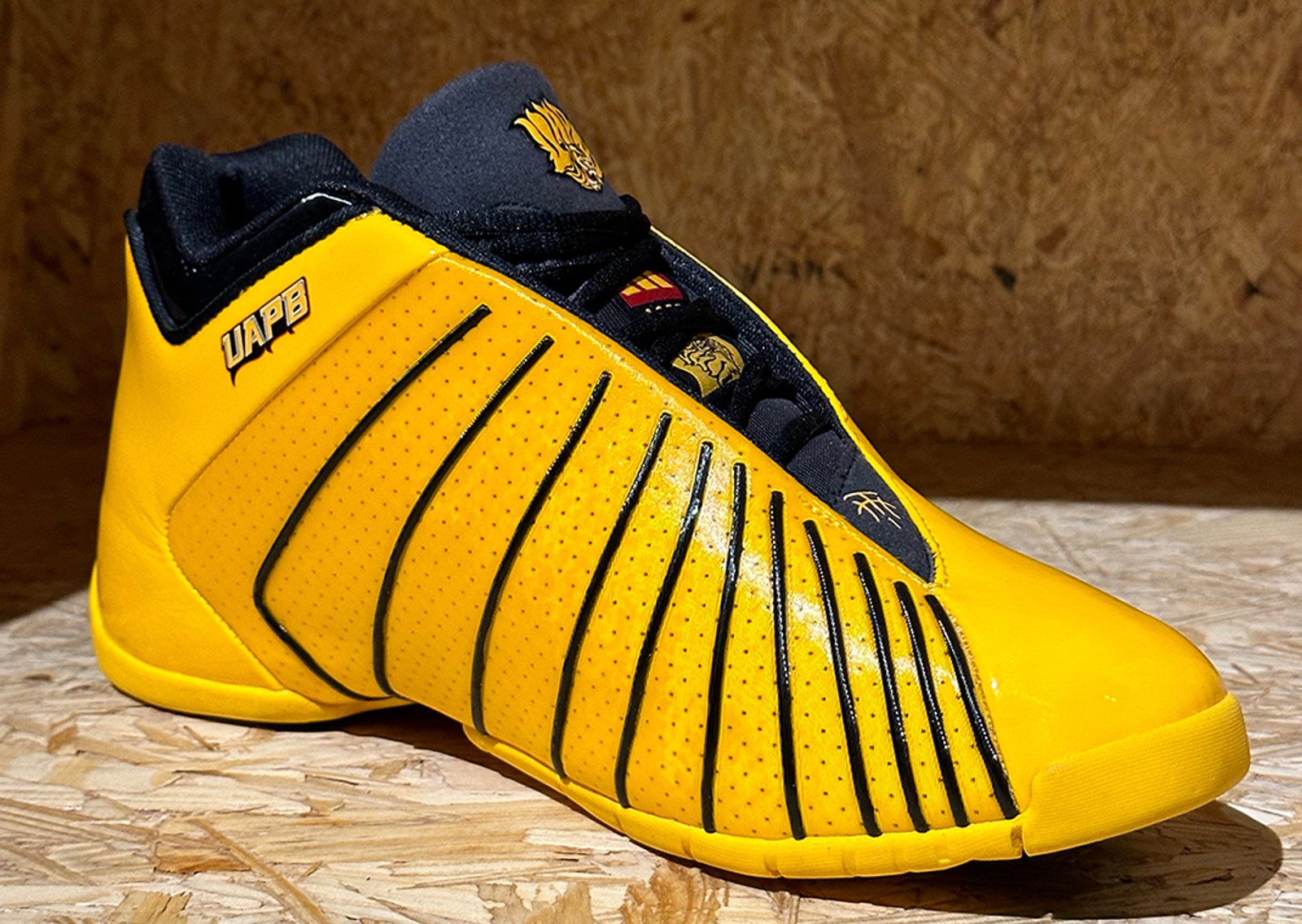 UAPB's Golden Lions Inspire This adidas TMAC 3