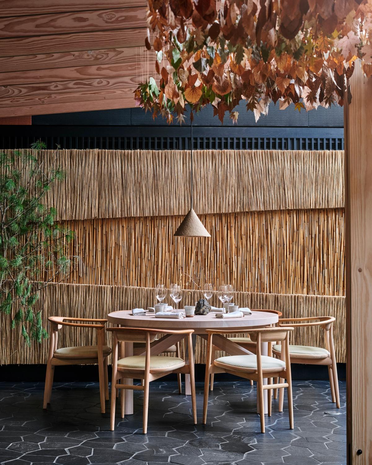 OEO Studio - Noma returns | OEO Studio