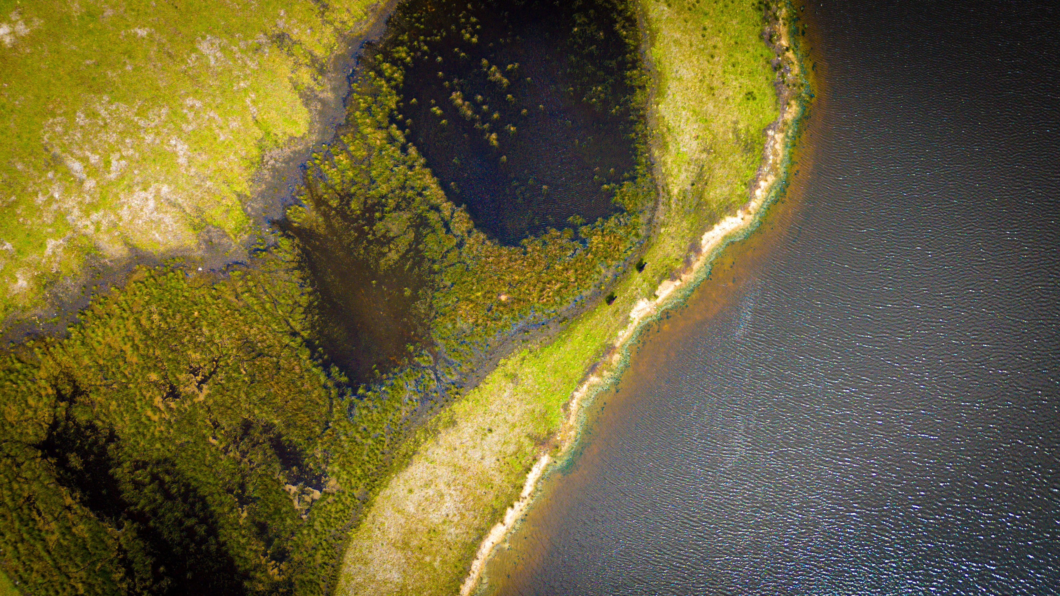 Saksfjed Vildmark | Vildmarken