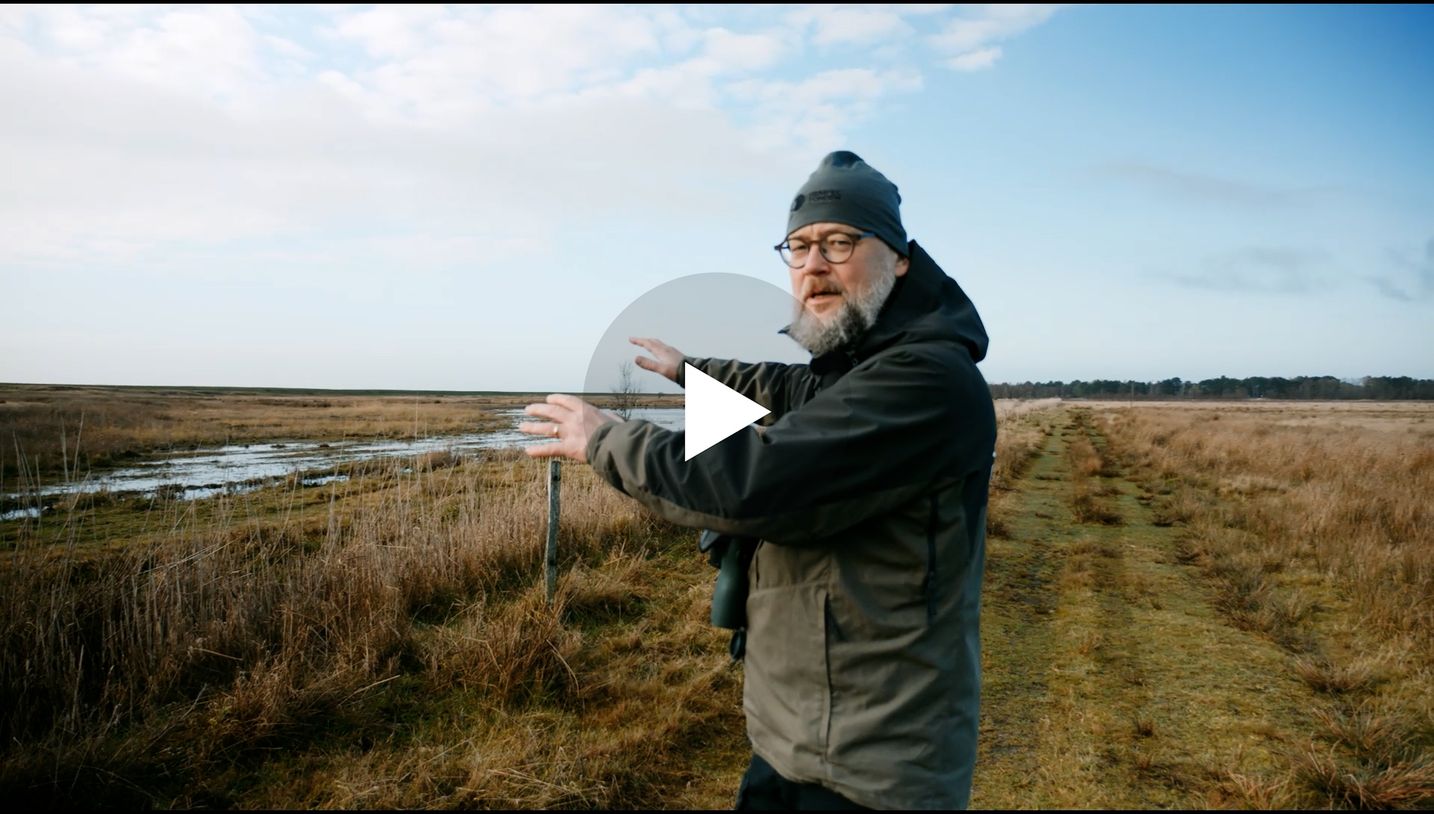 The Wilderness | Vildmarken