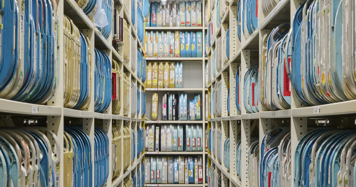 Bowerbird: Unlocking the national audiovisual collection with AI | NFSA