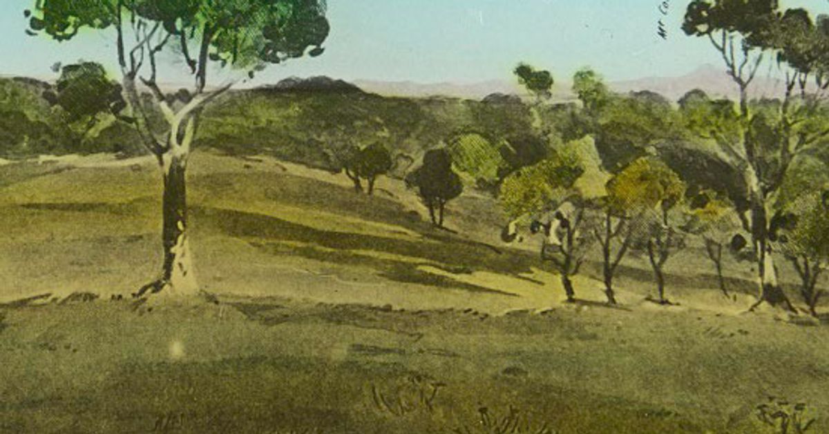 Section one of a painting of the Canberra capital site_1440x990.jpg | NFSA