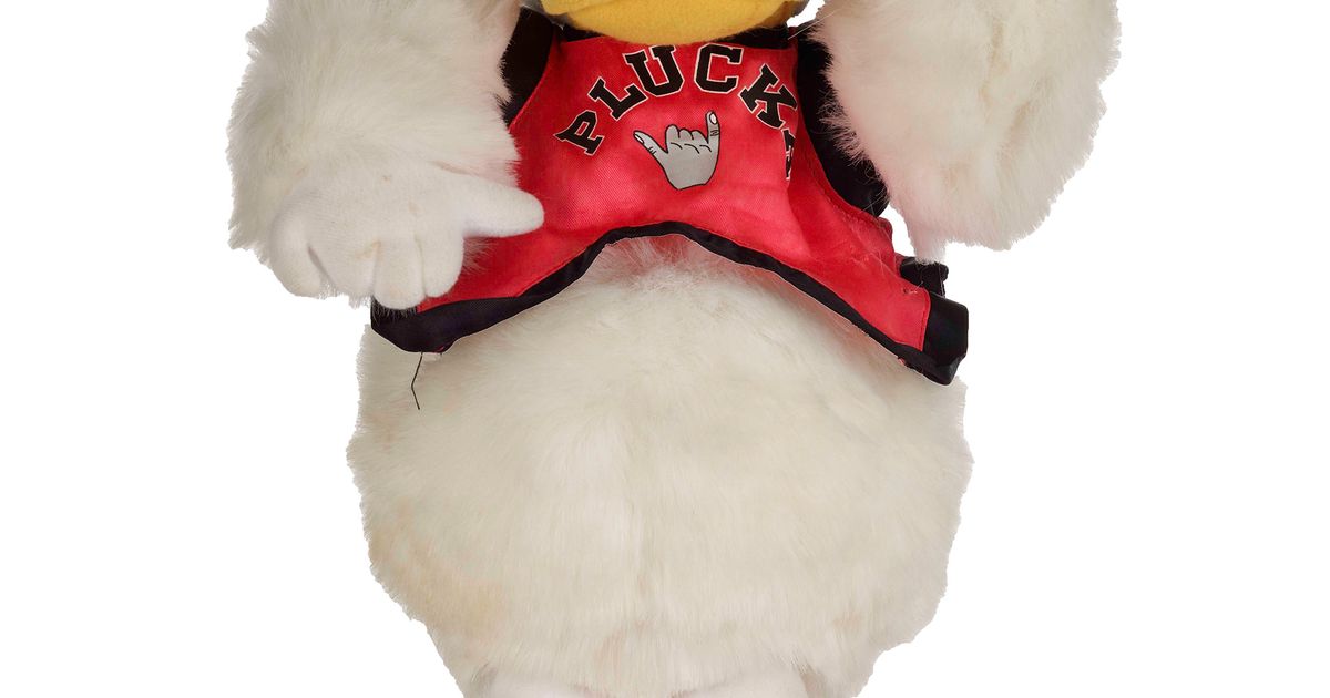 Plucka Duck plush toy | NFSA