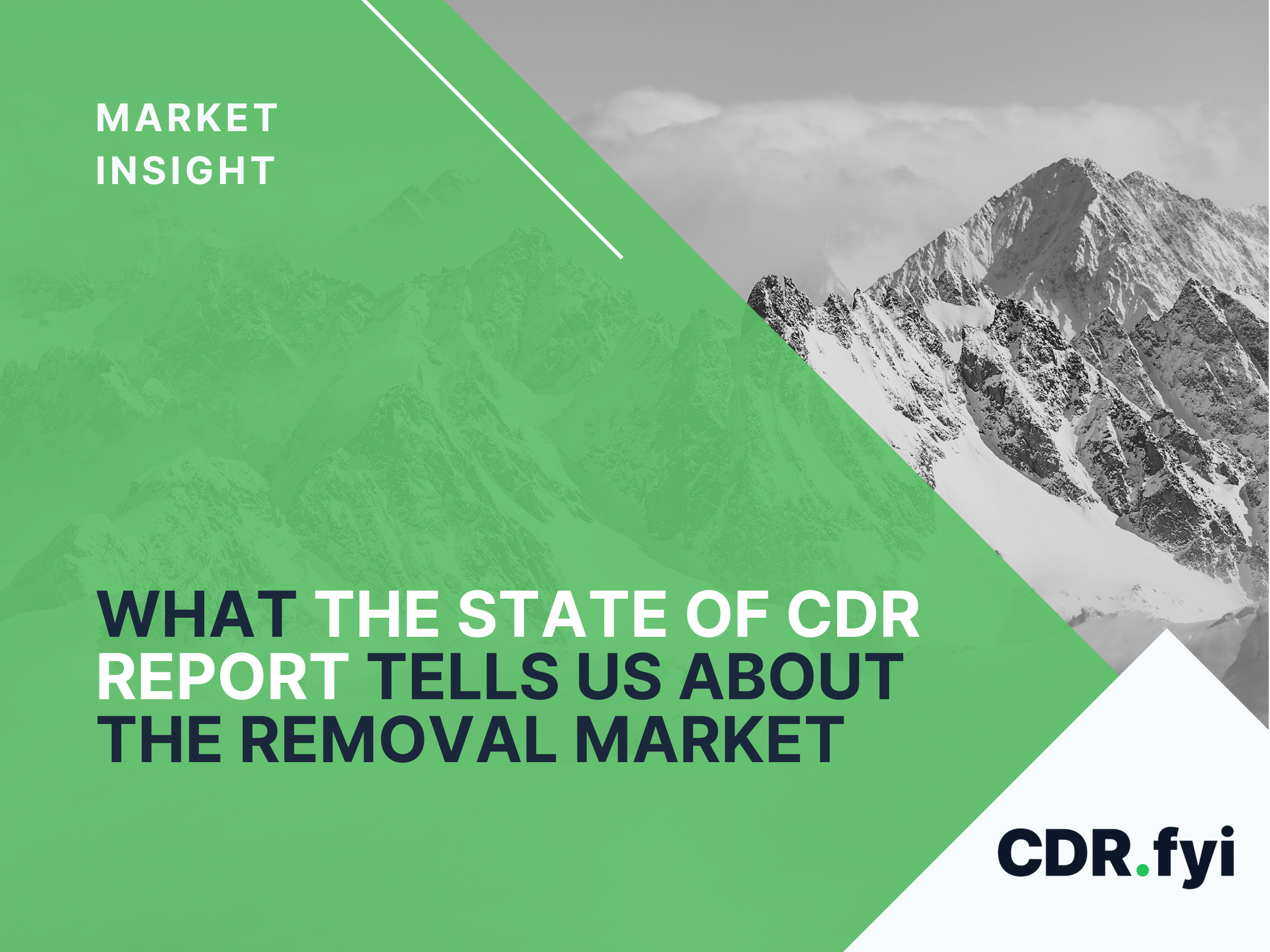 What the State of CDR Report Tells us about the Removal Market
