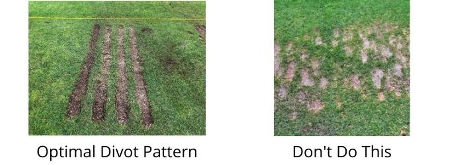 Divot Board Review: My New Favorite Training Aid [Complete Guide ...