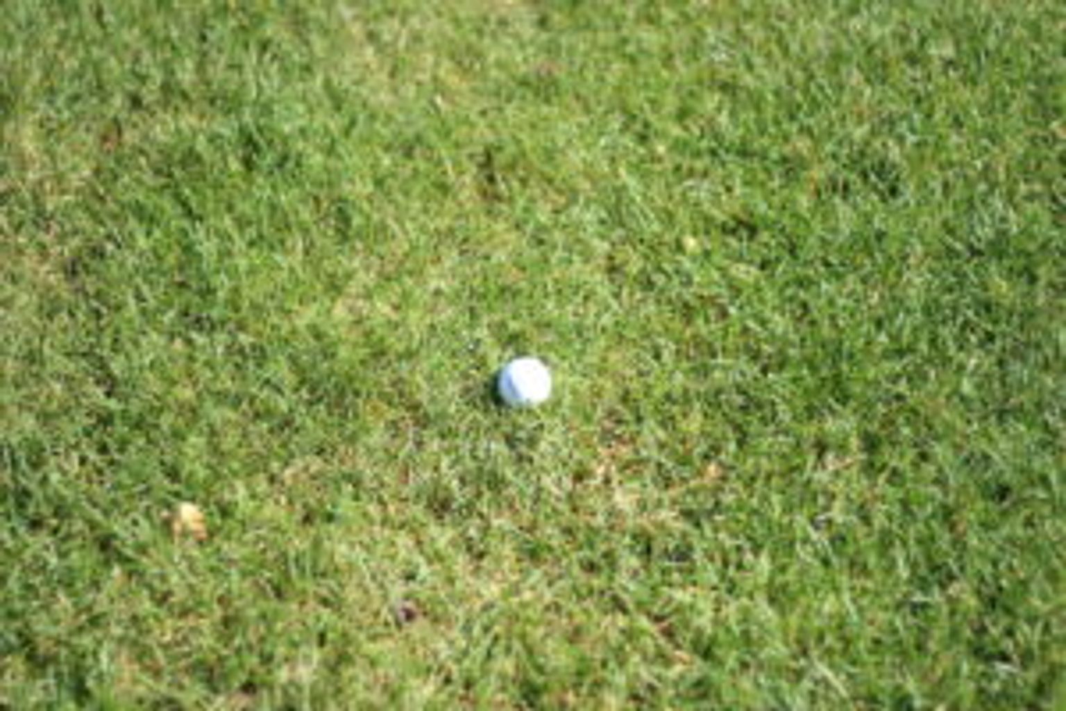 The Definitive Guide to Playing from the Rough · Practical-Golf.com