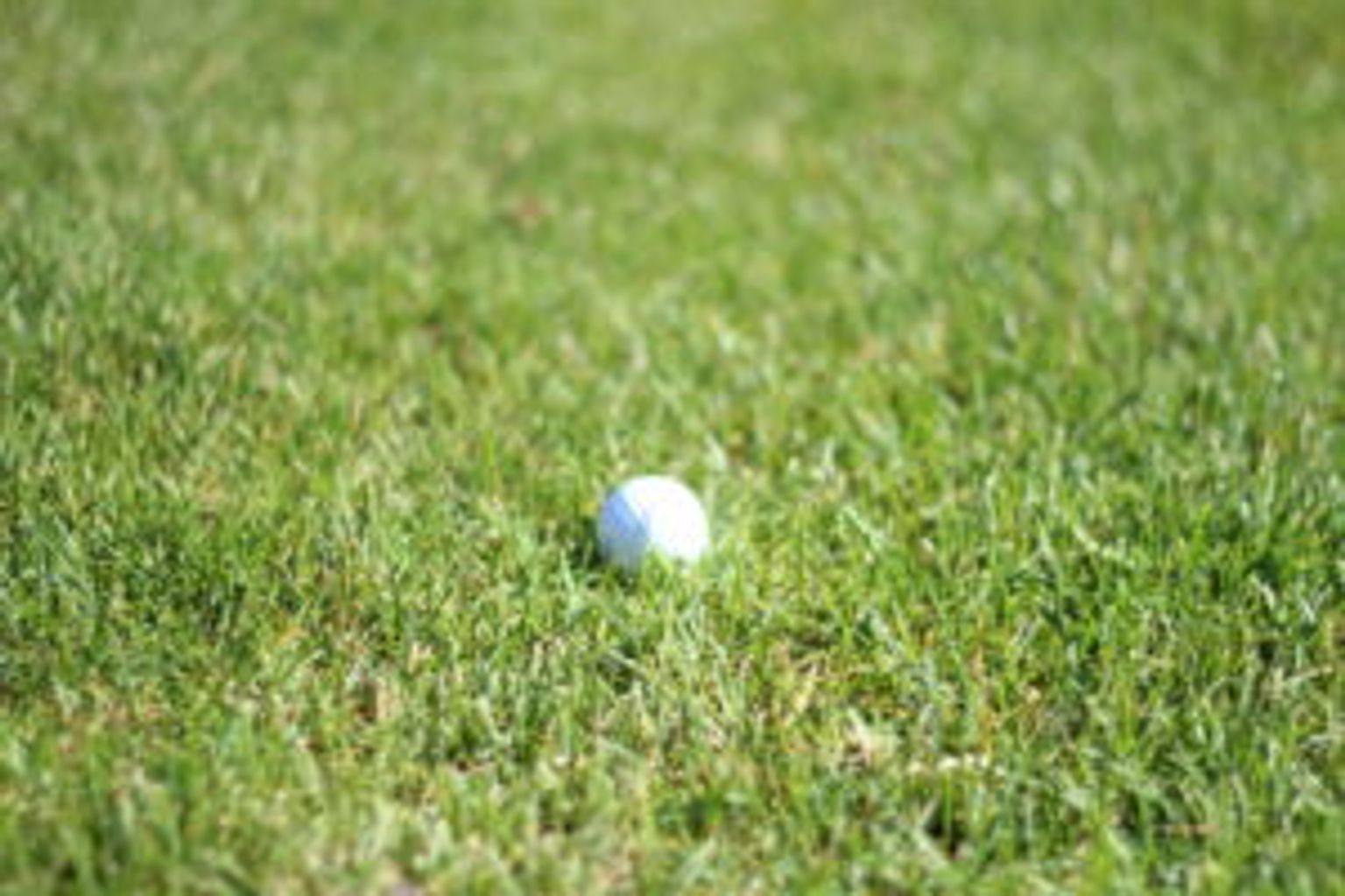 The Definitive Guide to Playing from the Rough · Practical-Golf.com