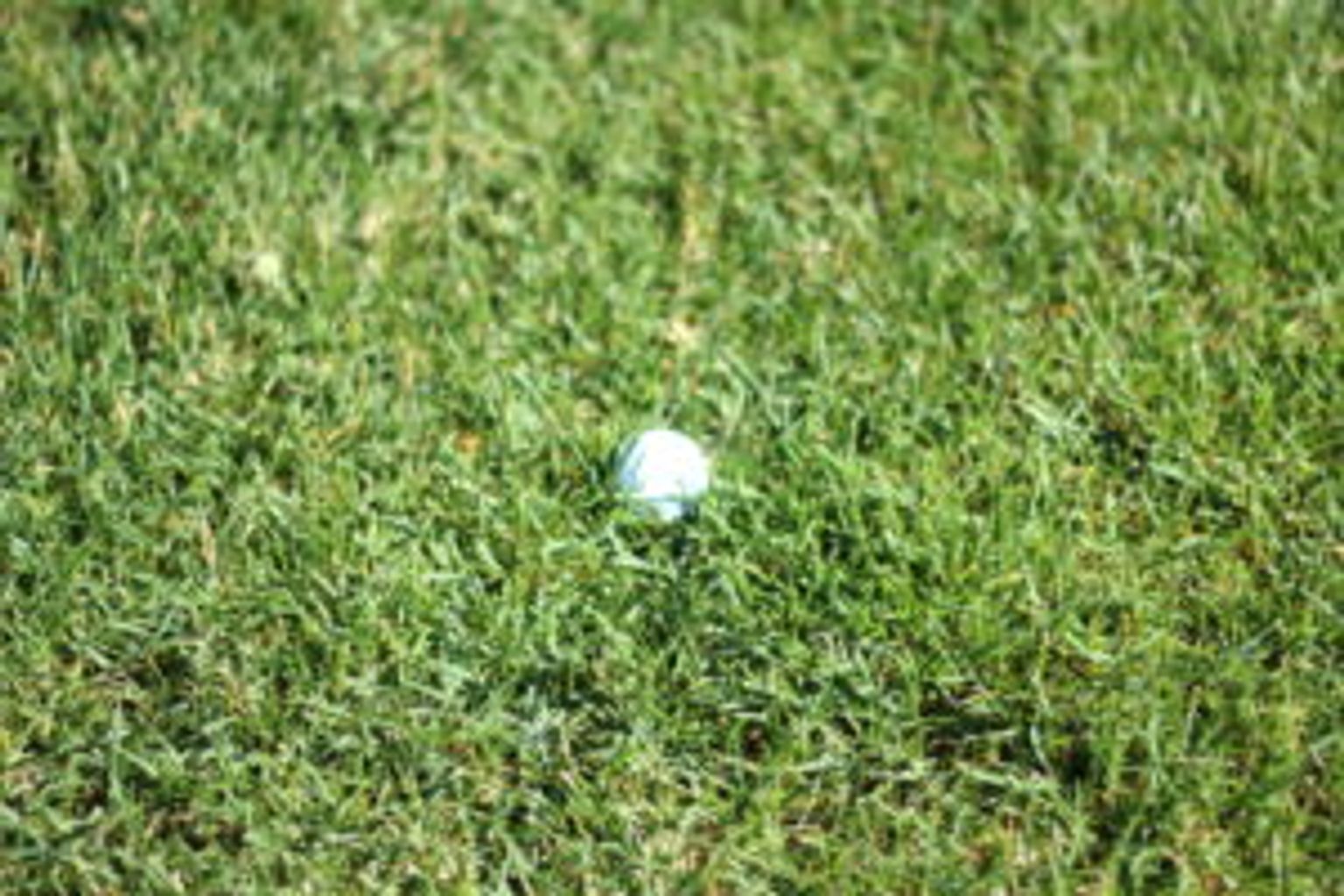 The Definitive Guide to Playing from the Rough · Practical-Golf.com