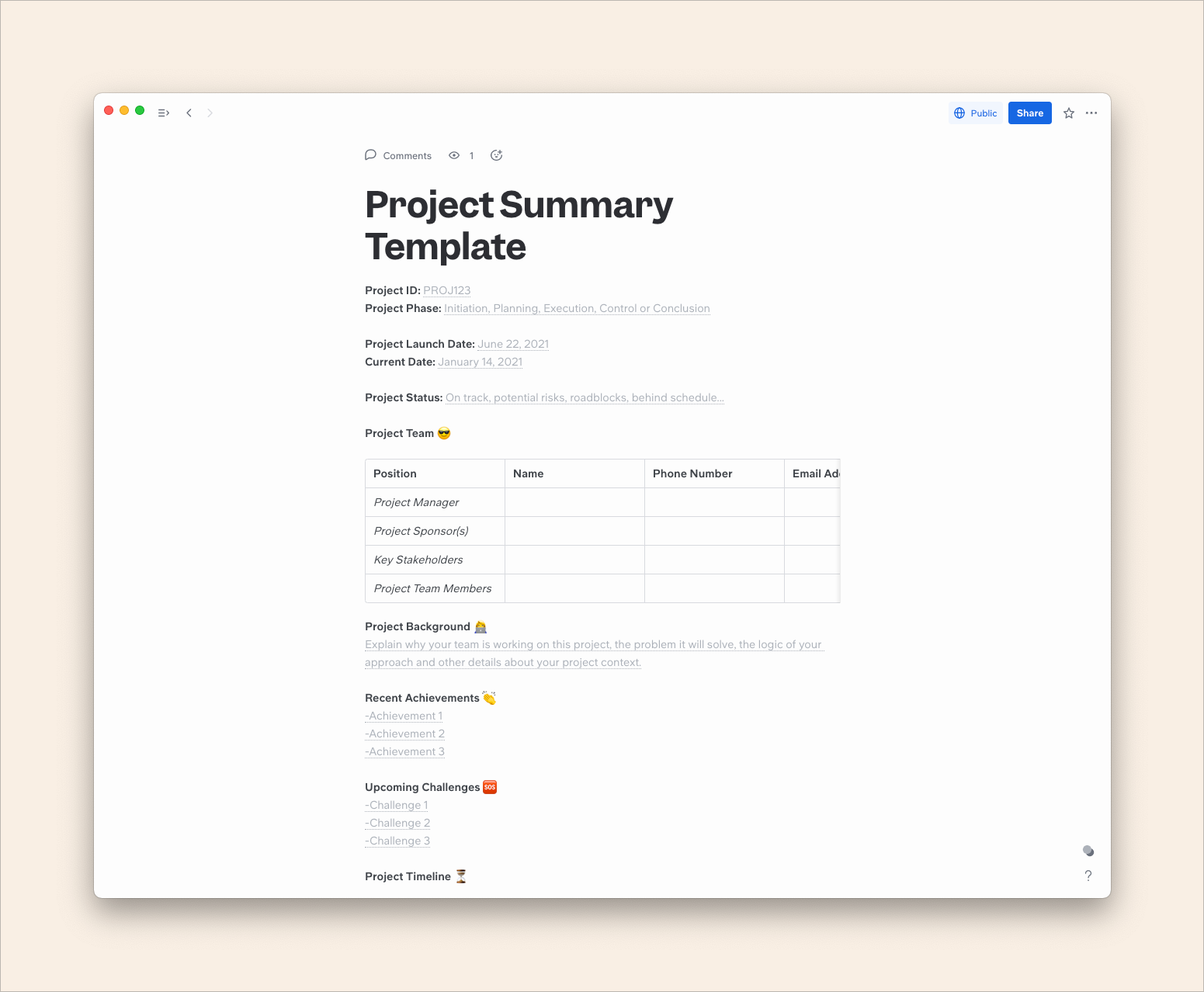 How to Create a Project Summary in 2022 + A Free Template