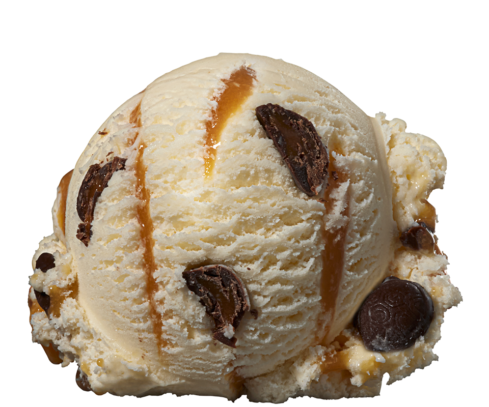 NSA Caramel Turtle Truffle Ice Cream