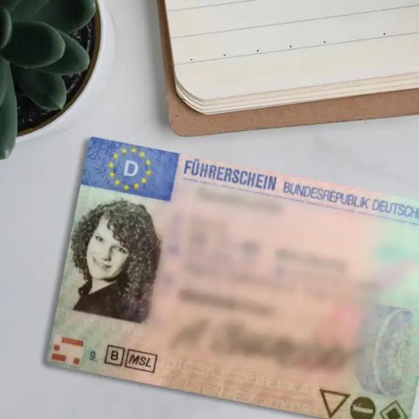 Data protection in driving licence checks