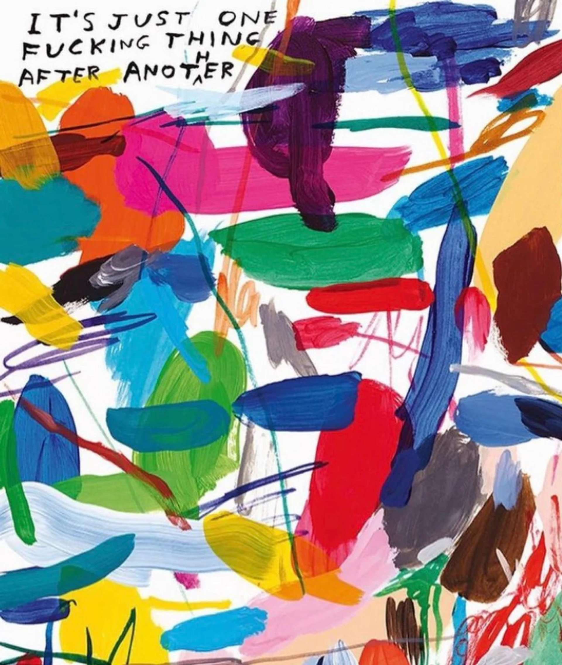 David Shrigley It's Just One Fucking Thing After Another (Unsigned ...