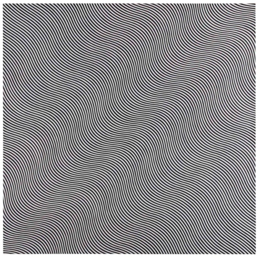 Bridget Riley Art for Sale: Prints & Originals | MyArtBroker