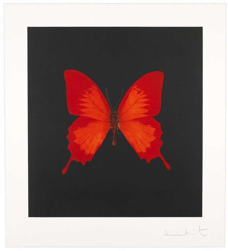 Page 2 Damien Hirst: Biography & Artwork | MyArtBroker