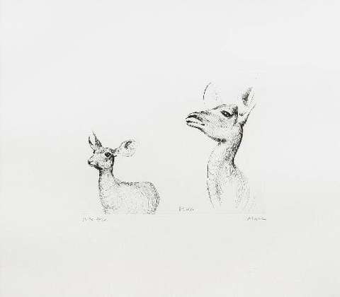 Henry Moore Antelope (Signed Print) 1981 | MyArtBroker
