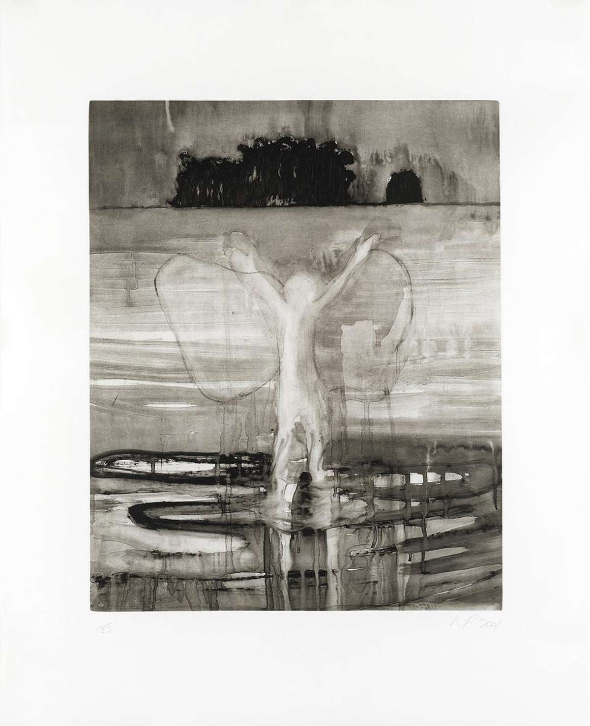 Peter Doig Paragrand (Signed Print) 2008 | MyArtBroker