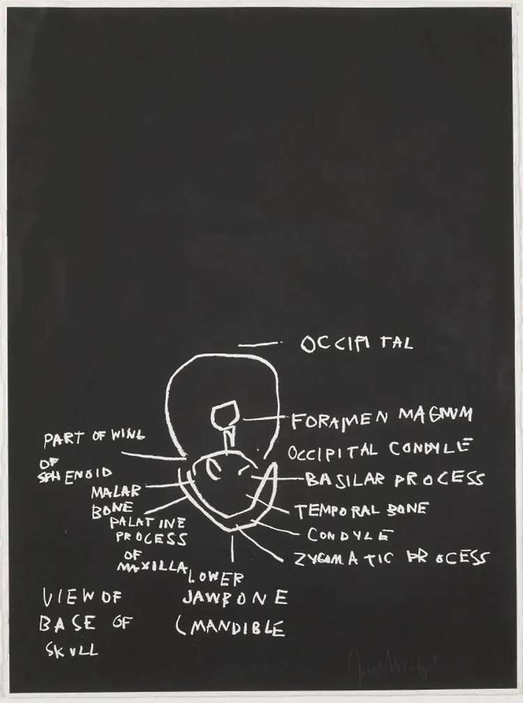 Jean-Michel Basquiat Anatomy, View Of Base Of Skull (Signed ...