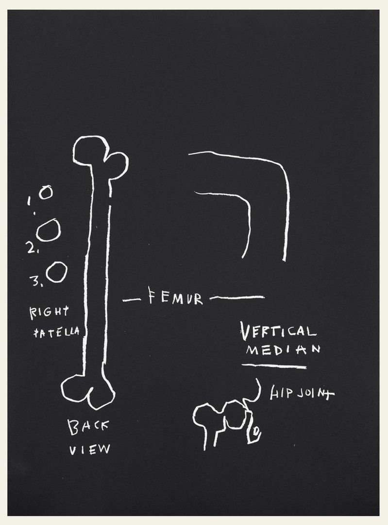 Jean-Michel Basquiat Anatomy, Vertical Median (Signed) Screenprint 1982
