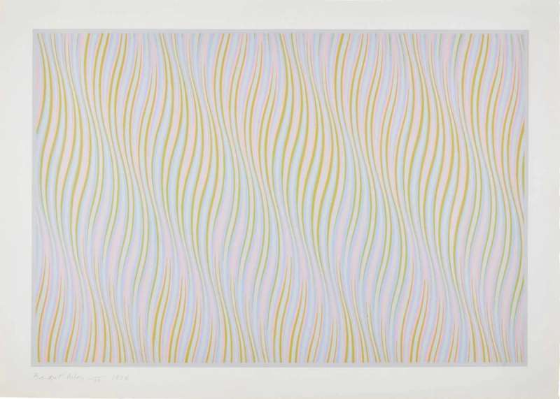 Waves by Bridget Riley Meaning, Analysis & Auction Results | MyArtBroker