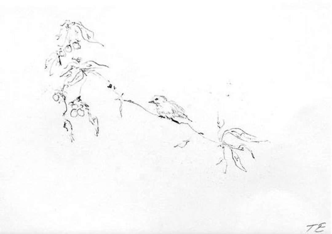 Tracey Emin Sam And Jay's Birds (Signed Print) 2004 | MyArtBroker