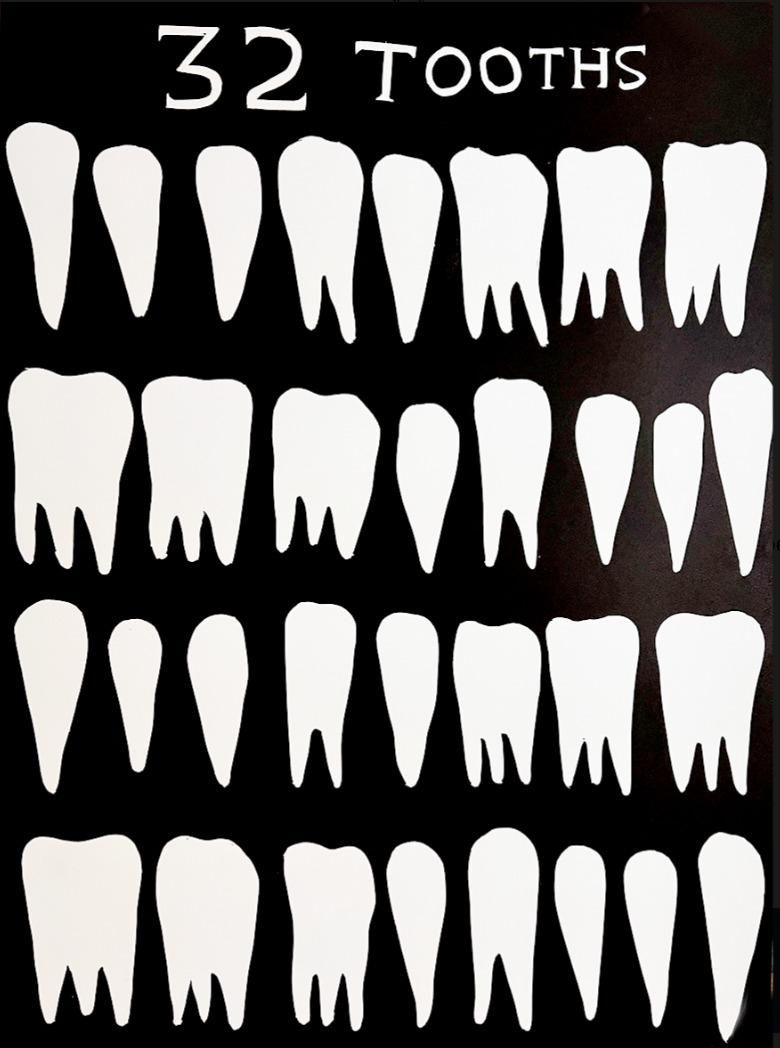 David Shrigley 32 Tooths (Signed Print) 2022 | MyArtBroker