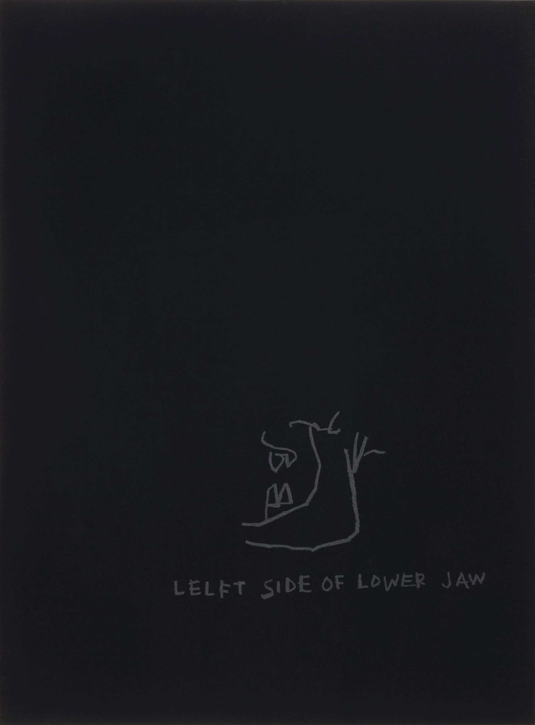 Jean-Michel Basquiat Anatomy, Left Side Of Jaw (Signed Print) 1982 ...