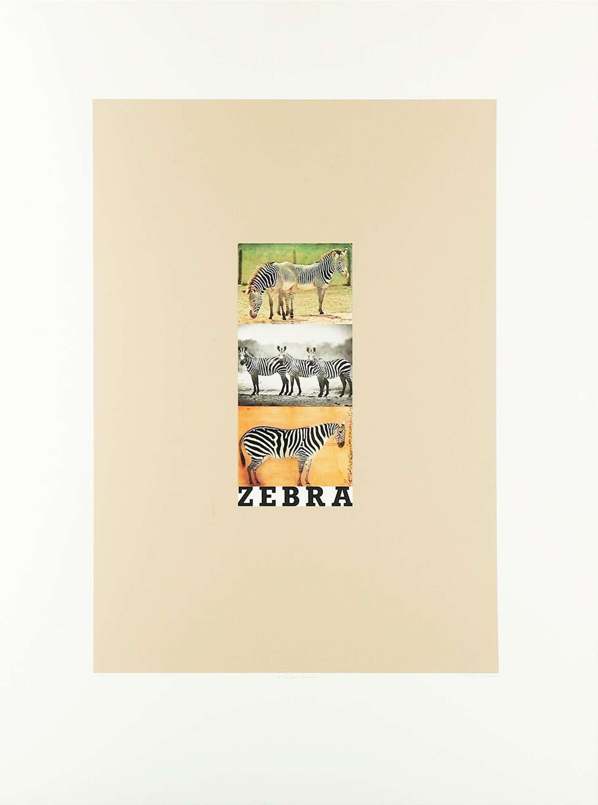 Peter Blake Z Is For Zebra (Signed Print) 1991 | MyArtBroker