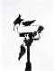 Banksy's Angry Crows | MyArtBroker | Article
