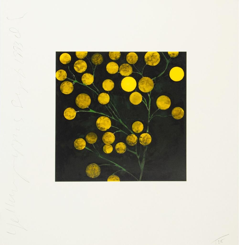Donald Sultan Yellow Peppers (Signed Print) 1994