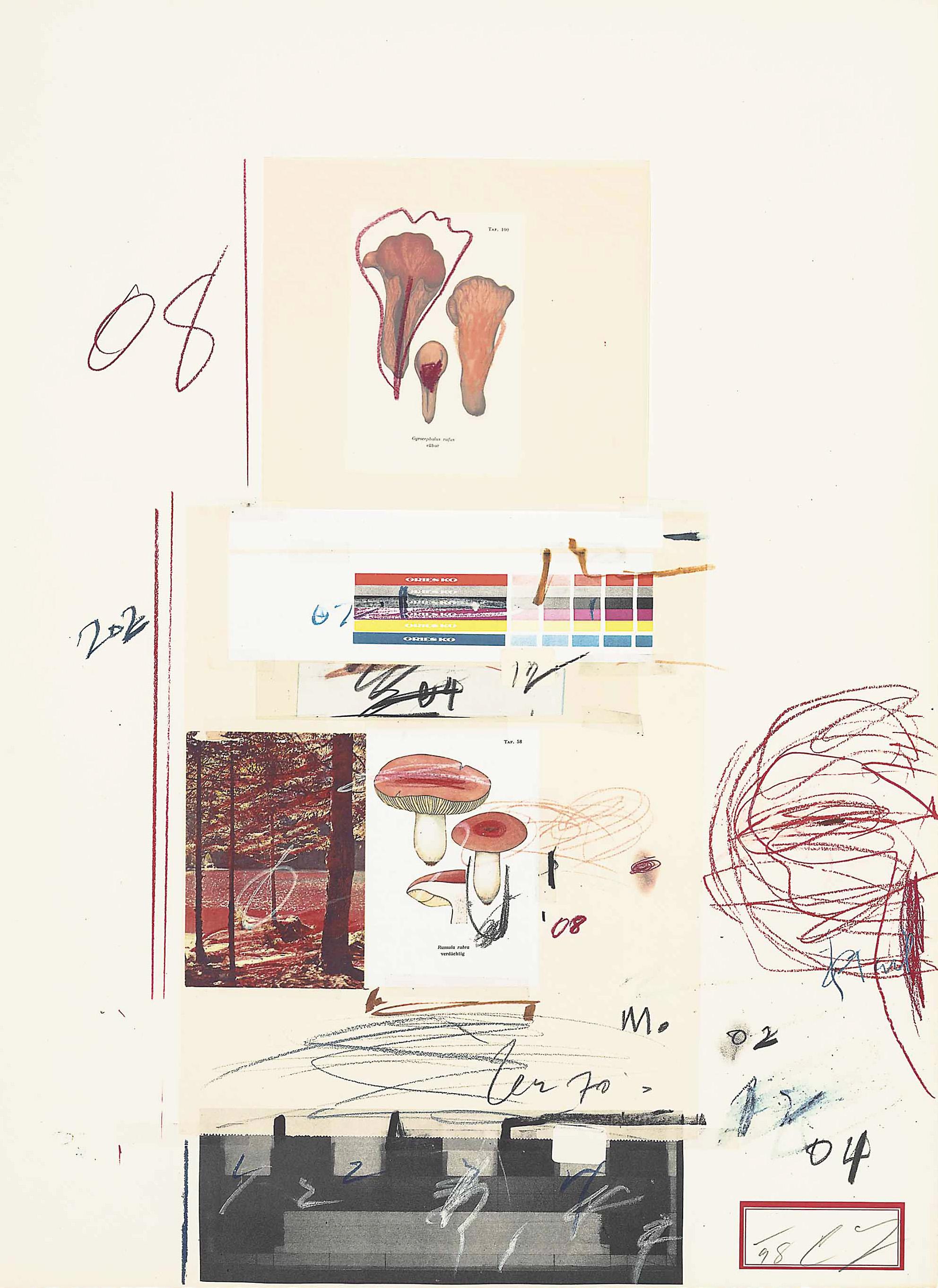 Cy Twombly Plate V (from Natural History Part I - Mushrooms) (Signed ...