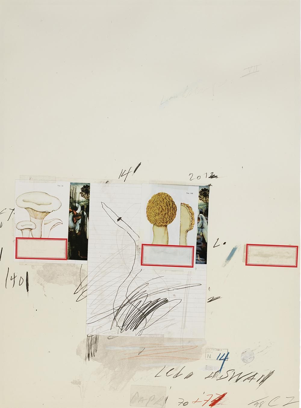 Cy Twombly Plate I (from Natural History Part I - Mushrooms) (Signed ...